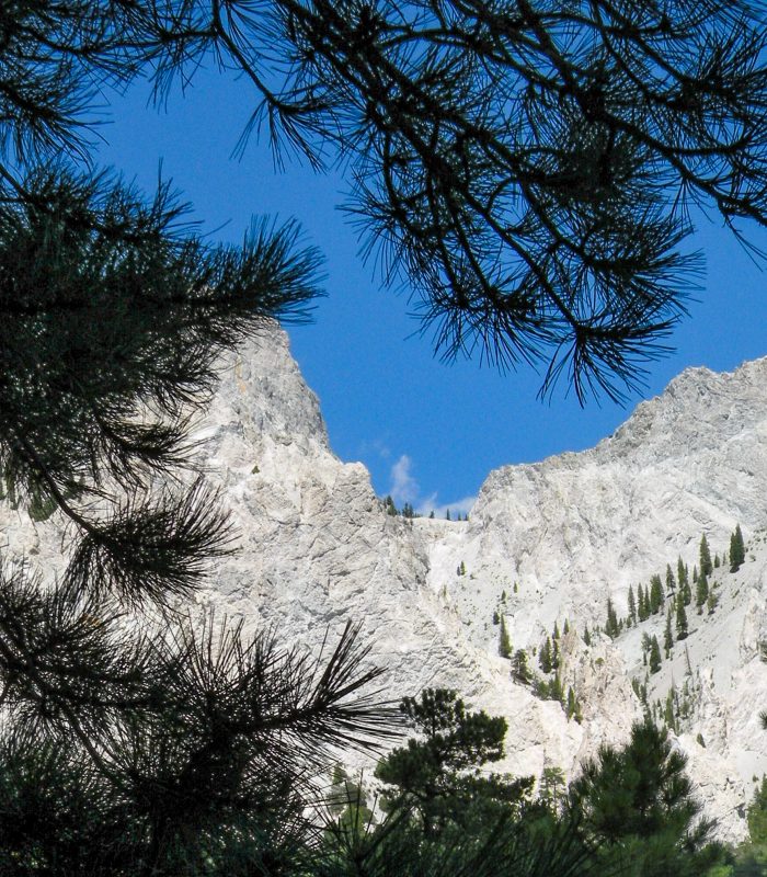 COLLEGIATE PEAKS SCENIC BYWAY IN COLORADO – THE TRAVELING SENIORS